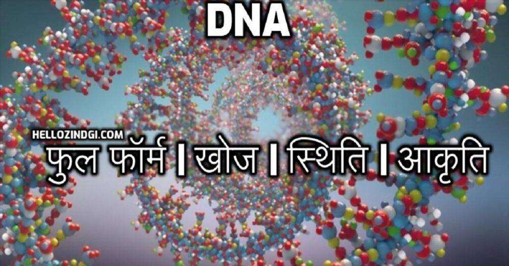 DNA Full Form In Hindi RNA Full Form IN Hindi dna-full-form-in-hindi-rna-full-form-in-hindi