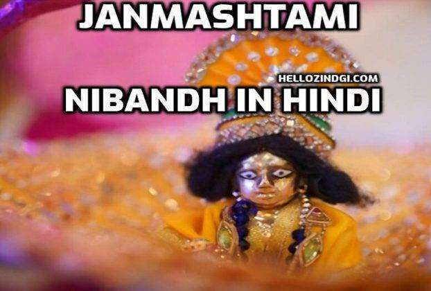 Soldiers Par Nibandh In Hindi | Soldiers Short Essay