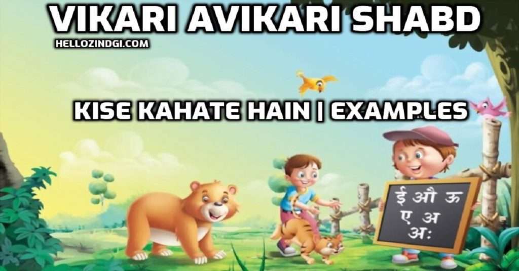 Vikari Shabd | Vikari Aur Avikari Shabd Examples